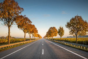 ¿Qué es la berma y cuáles son las multas por su mal uso? - Autofact