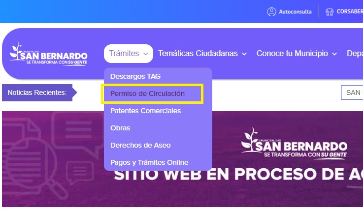 Permiso de circulación en San Bernardo - Autofact